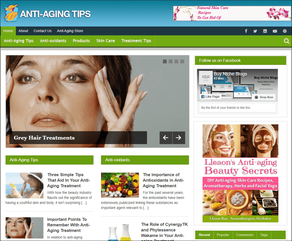 Anti Aging Pre-made Affiliate Niche Website/Blog - Niche PLR Blogs
