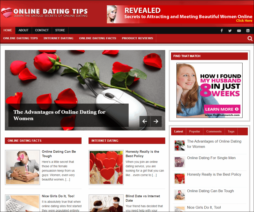 Buying The Best Laptops Pre-made Niche Website/Blog - Niche PLR Blogs